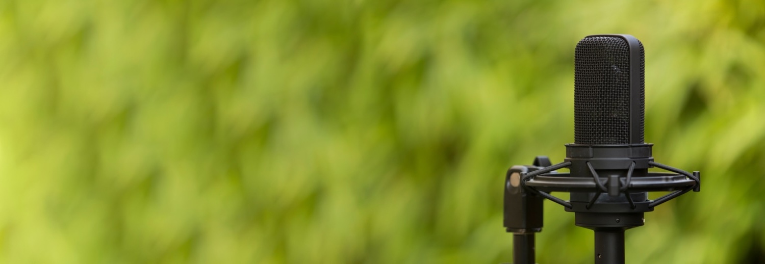 Red Whale | Podcast | Primary Care Pod – free updates